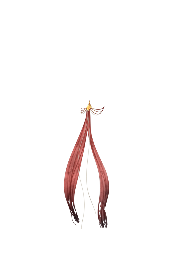 Banshee | Wiki Eldarya | Fandom