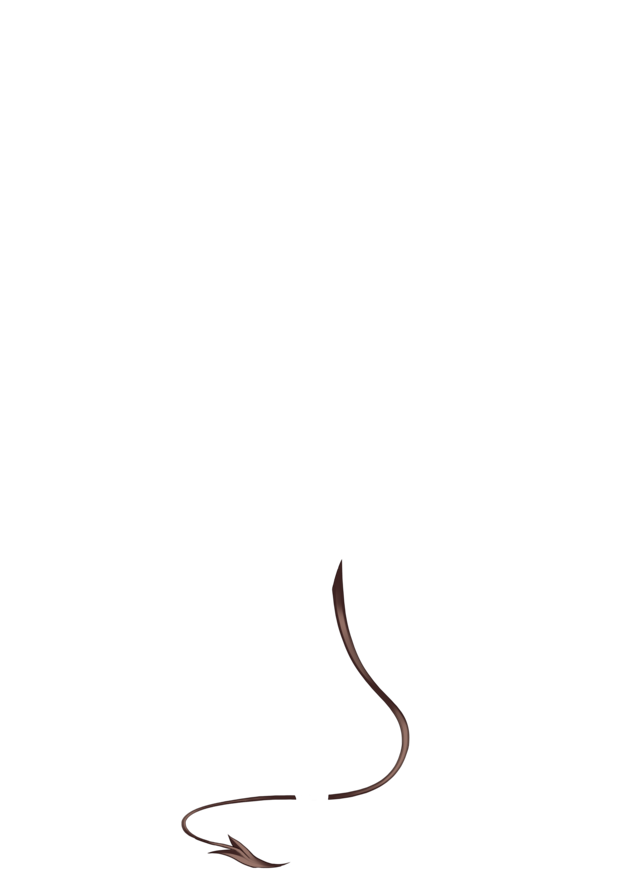 Evil Baroness | Wiki Eldarya | Fandom