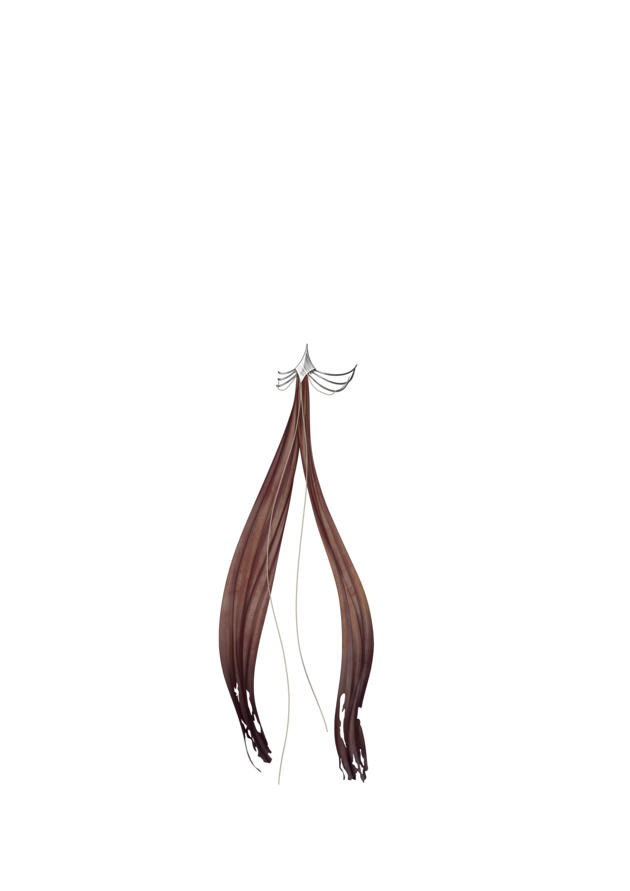 Banshee | Wiki Eldarya | Fandom