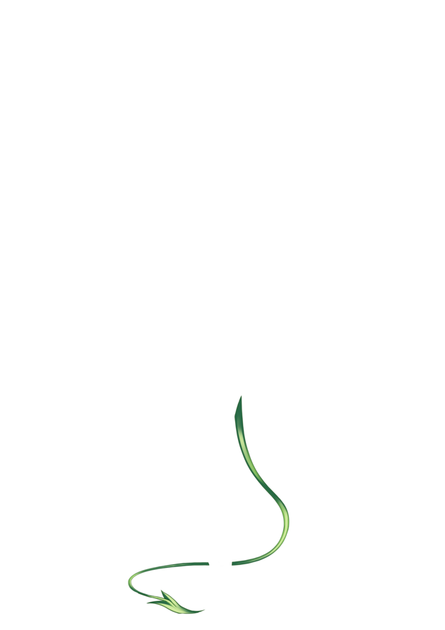 Evil Baroness | Wiki Eldarya | Fandom