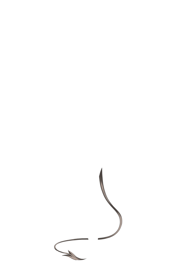 Evil Baroness | Wiki Eldarya | Fandom