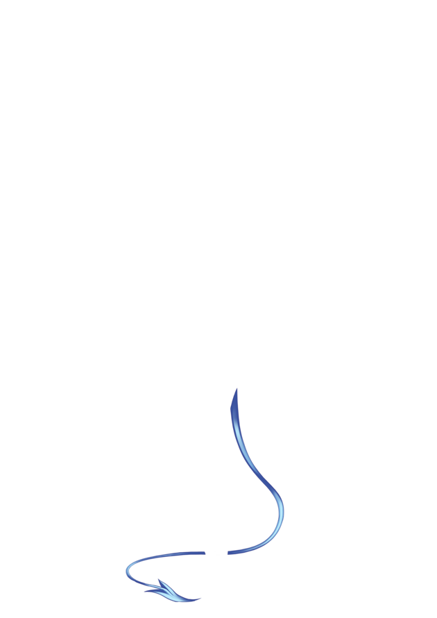 Evil Baroness | Wiki Eldarya | Fandom