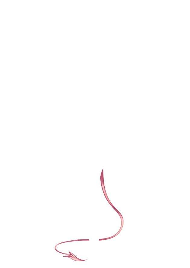 Evil Baroness | Wiki Eldarya | Fandom